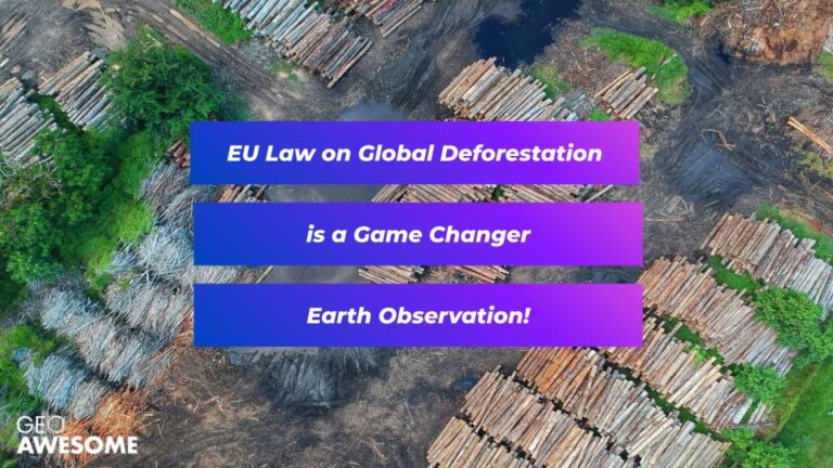 The EU’s Regulation on Deforestation-free Products and the Role of ...