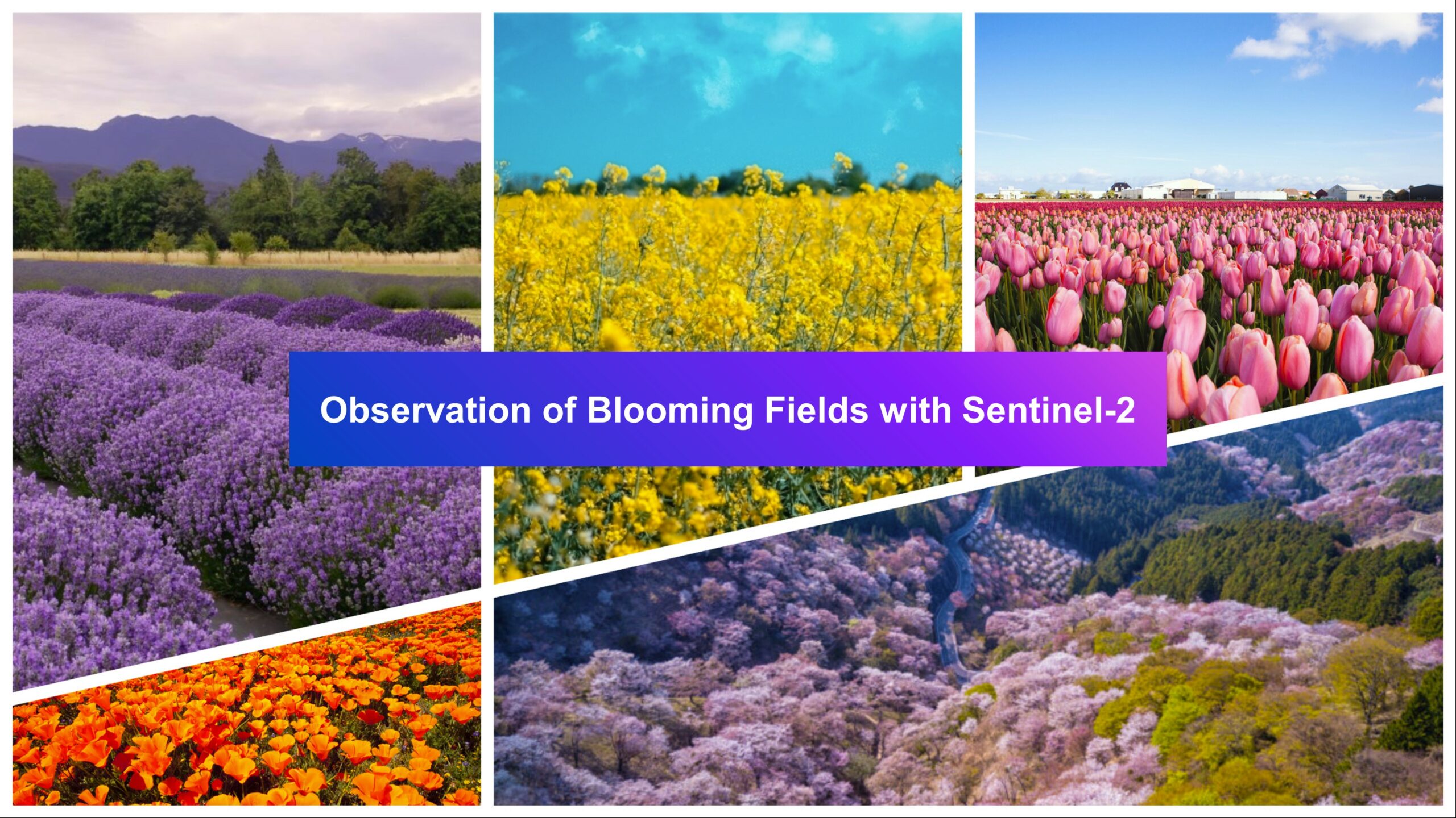 How Does Sentinel-2 See Our Blooming Earth? - Geoawesome