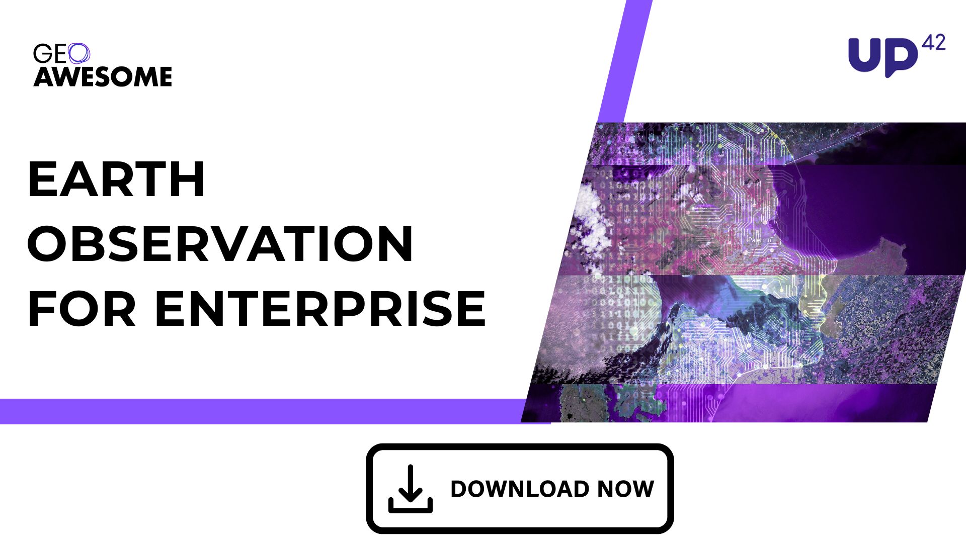 Earth Observation Data in the Enterprise: Adoption, Challenges, and ...